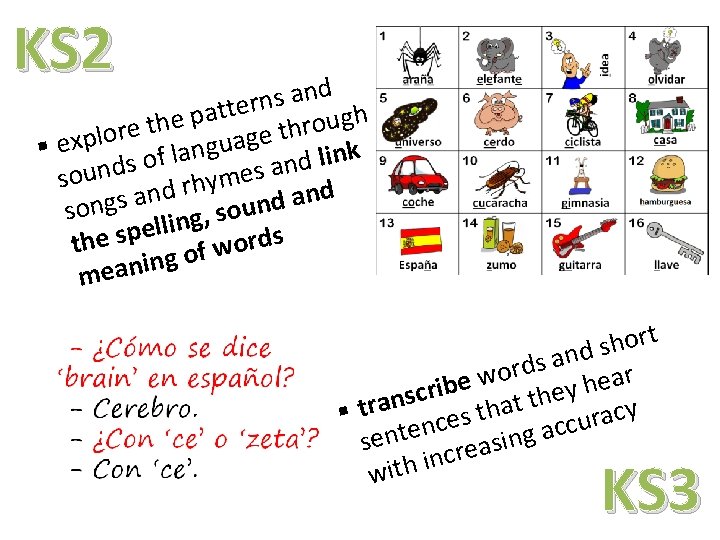 Making sense of the new curriculum Ann Swarbrick