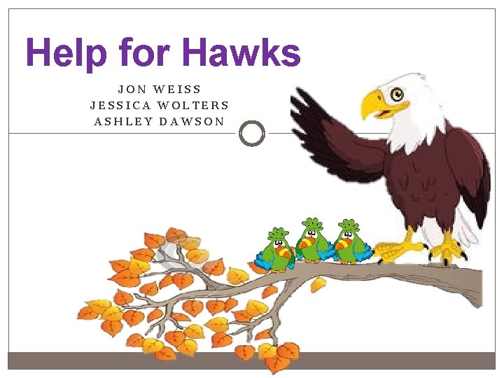 Help for Hawks JON WEISS JESSICA WOLTERS ASHLEY