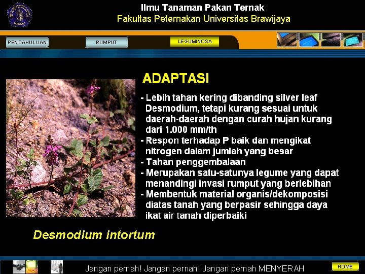 Fakultas Peternakan Universitas Brawijaya Ilmu Tanaman Pakan Ternak