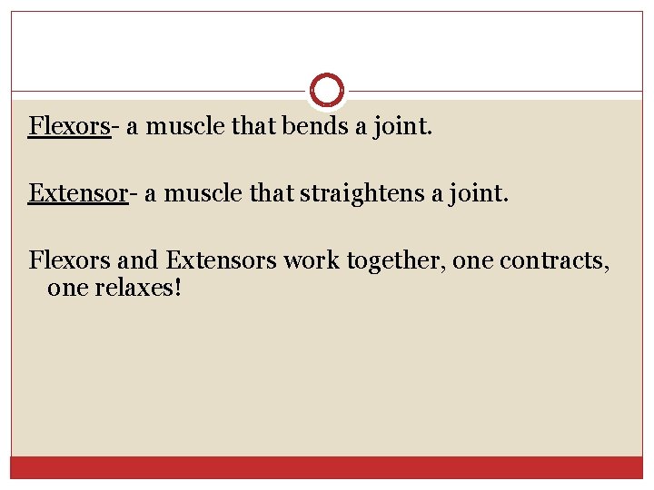Muscular System CHAPTER 45 3 Muscular System Major
