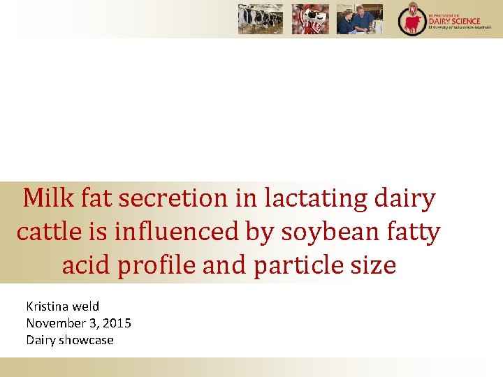 Milk fat secretion in lactating dairy cattle is