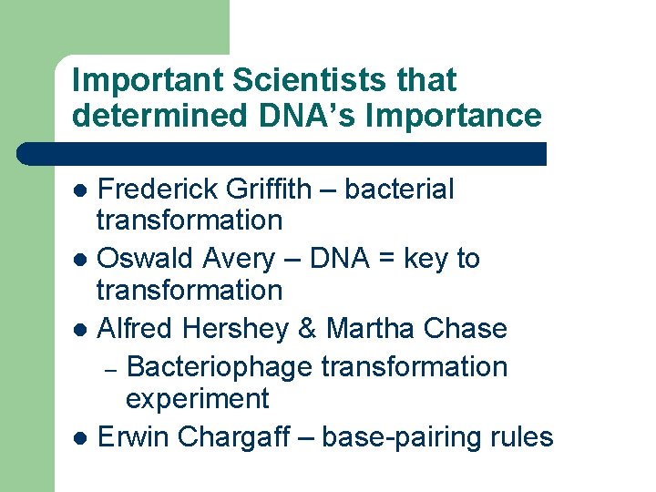 DNAs Discovery and Structure Honors Objectives SOL BIO