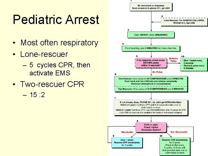 2005 AHA Guidelines CPR ECC Bill Cayley Jr