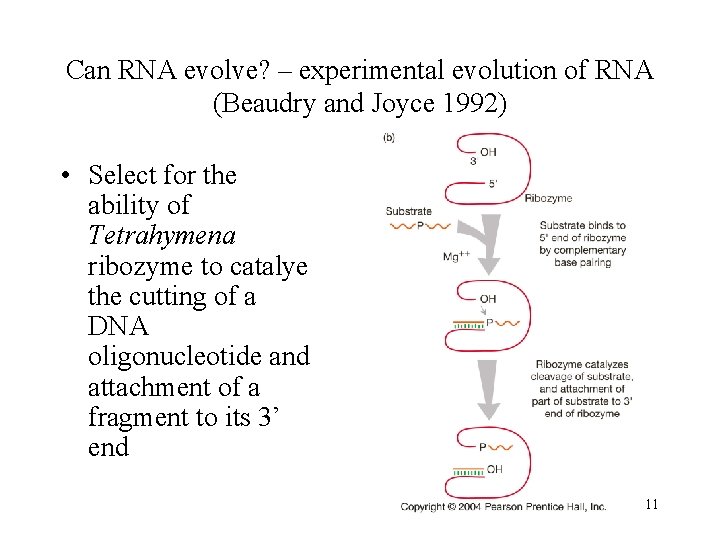 The Origins of Life and Precambrian Evolution Chapter