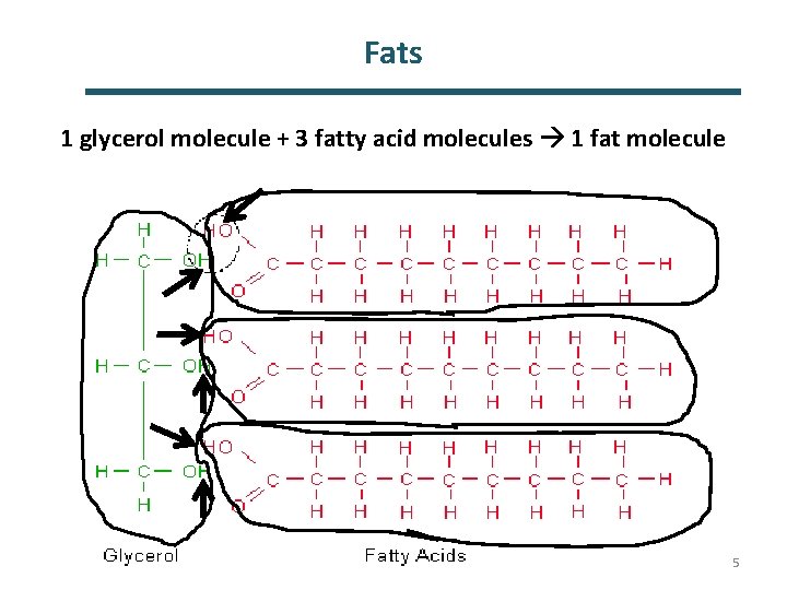 LIPIDS 1 ELEMENTS FOUND IN LIPIDS CARBON C