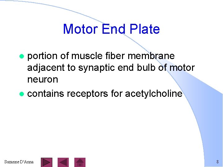 Neuromuscular Junction Suzanne DAnna 1 Motor Unit one