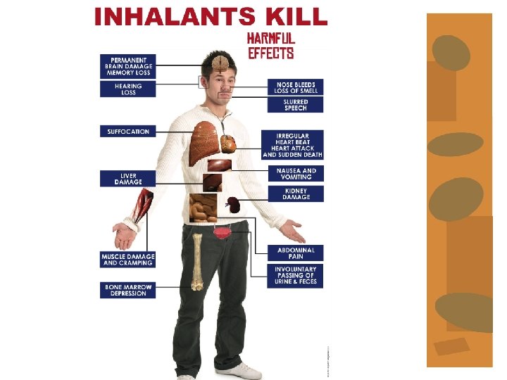 What Every Student Needs To Know About Inhalant