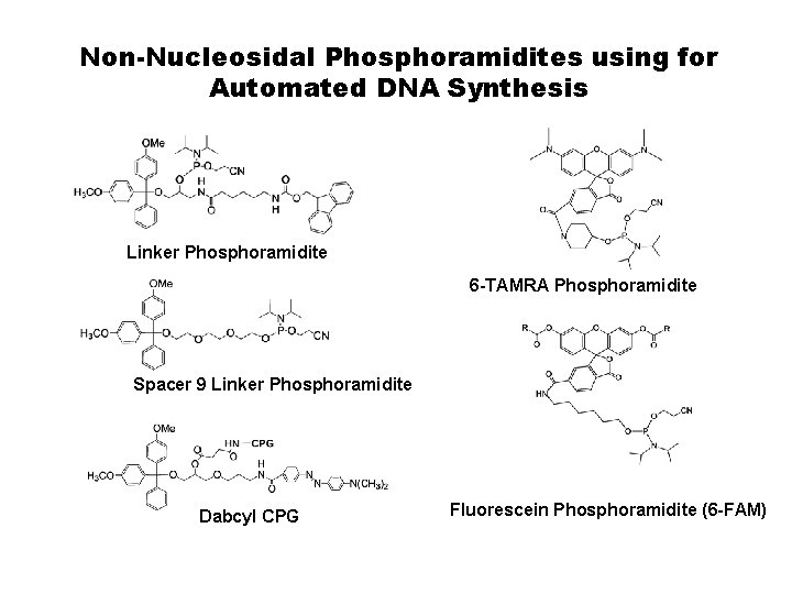 2 Solidphase Synthesis and Probe Labeling Processes Purification
