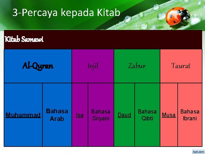 Kitab Risalah Tauhid Syeikh Abdul Ghani Yahya Gambar