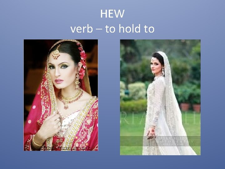 VOCABULARY UNIT 6 Many of the words in