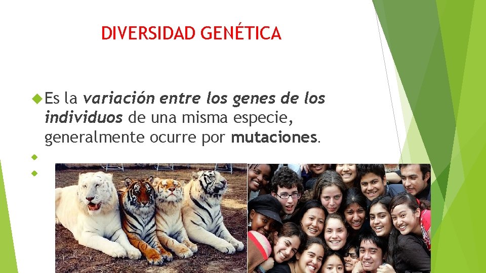 Unidad N 1 Evolucin Y Biodiversidad Curso Primero