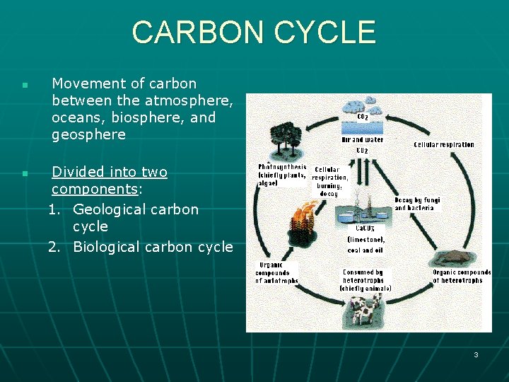 THE CARBON CYCLE AND CLIMATE CHANGE 1 CARBON