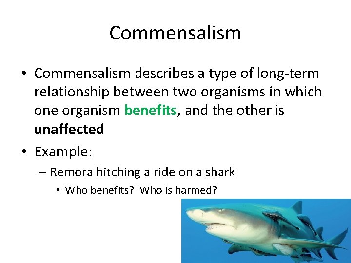 Symbiosis Review Relationships in Ecosystems There are many