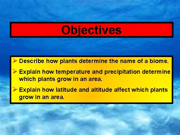 Chapter 6 Section 1 Objectives Describe how plants