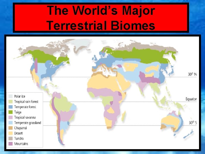 Chapter 6 Section 1 Objectives Describe how plants