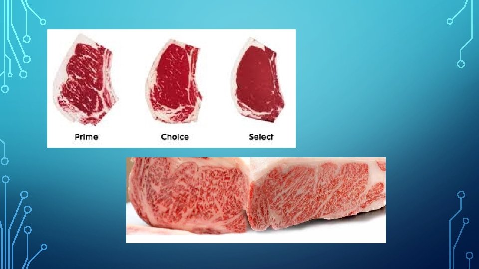 CARNES GENERALIDADES QU SON LAS CARNES Es un