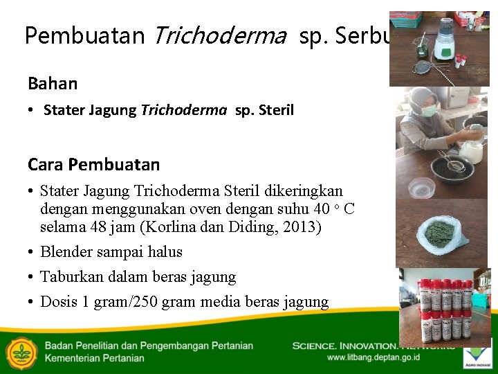 TEKNOLOGI PERBANYAKAN Trichoderma sp BALAI PENGKAJIAN TEKNOLOGI PERTANIAN