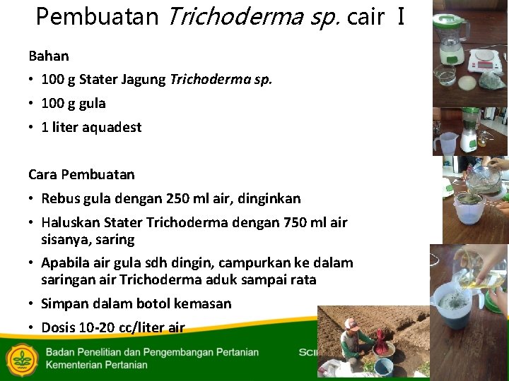 TEKNOLOGI PERBANYAKAN Trichoderma sp BALAI PENGKAJIAN TEKNOLOGI PERTANIAN