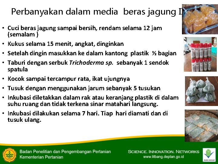 TEKNOLOGI PERBANYAKAN Trichoderma sp BALAI PENGKAJIAN TEKNOLOGI PERTANIAN