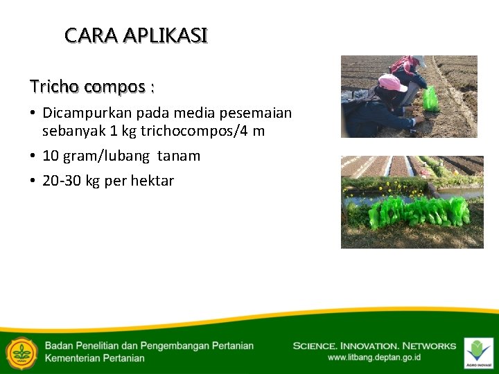 TEKNOLOGI PERBANYAKAN Trichoderma sp BALAI PENGKAJIAN TEKNOLOGI PERTANIAN