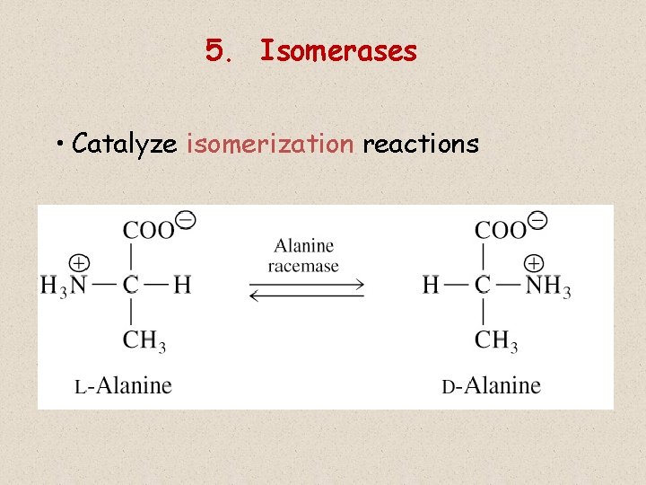BIOC 231 An Introduction to Enzymes Dr Ayat