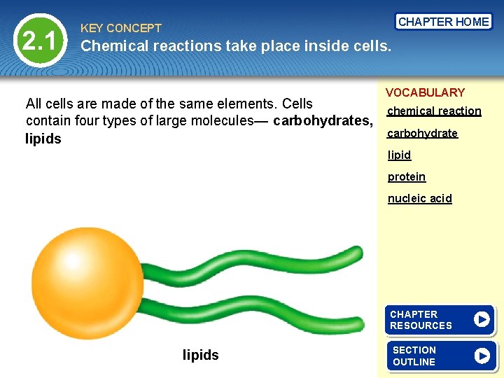 CHAPTER NEW CHAPTER How Cells Function the BIG