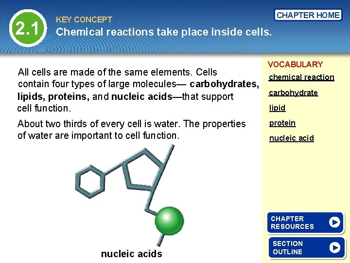 CHAPTER NEW CHAPTER How Cells Function the BIG