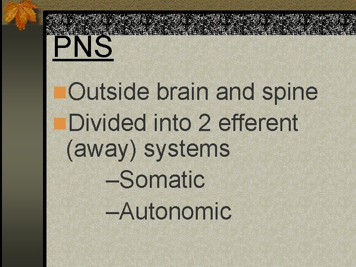 MOTOR NERVES Of PNS PNS n Outside brain