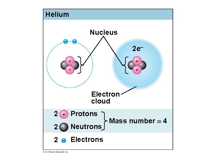 Chapter 2 The Chemical Basis of Life Elements
