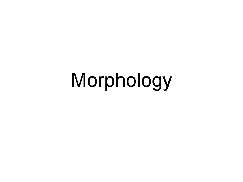 Morphology Morphology The study of words Studies the