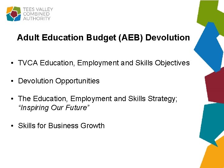 PREPARING FOR DEVOLUTION OF THE ADULT EDUCATION BUDGET