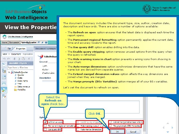 Web Intelligence The Basics To begin please click
