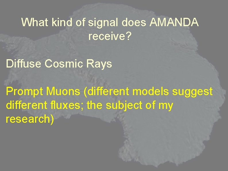 Muon Vertical Depth Intensity Distribution at the South