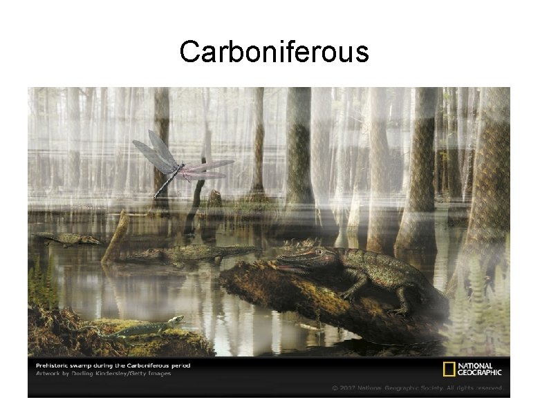 Geologic Time And changes in organisms Precambrian Formation