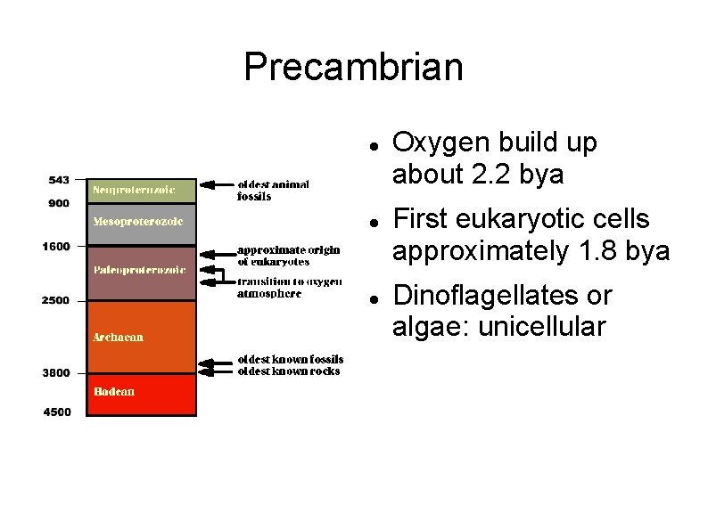 Geologic Time And changes in organisms Precambrian Formation