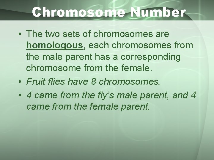 Meiosis Chromosome Number The two sets of chromosomes