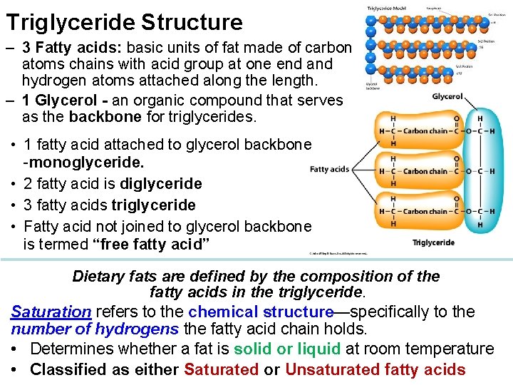 Lipids Module 1 4 Lipid Functions Contribute texture