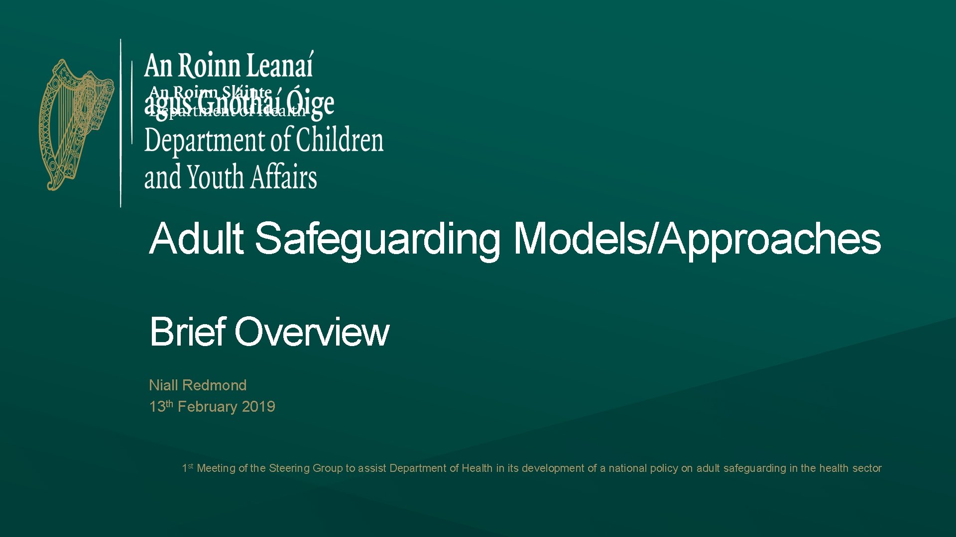 Adult Safeguarding ModelsApproaches Brief Overview Niall Redmond 13