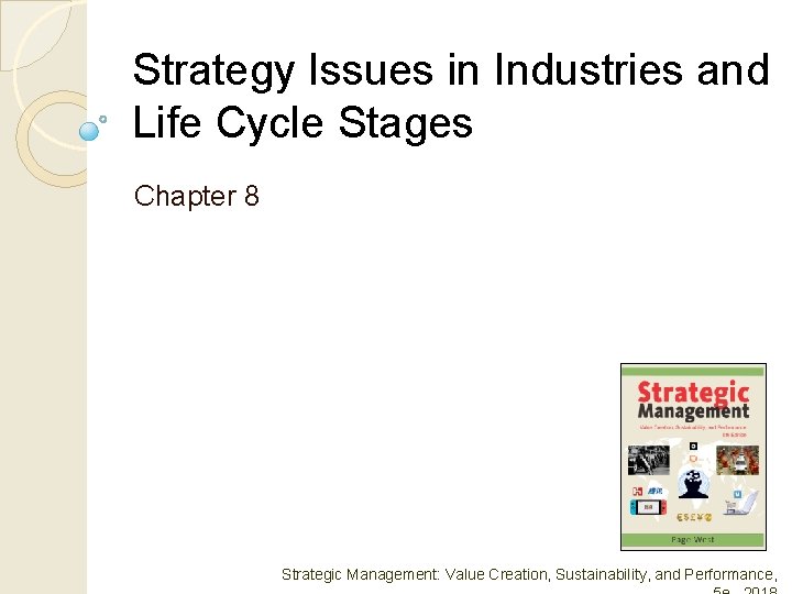 Strategy Issues in Industries and Life Cycle Stages