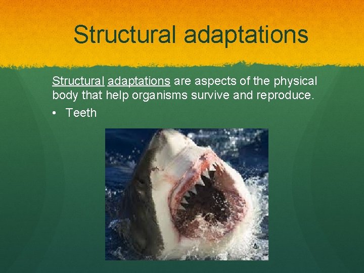 Contract 3 Natural Selection EQ 2 Cornell Notes