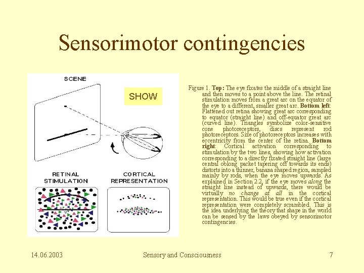 A sensorimotor account of vision and visual consciousness