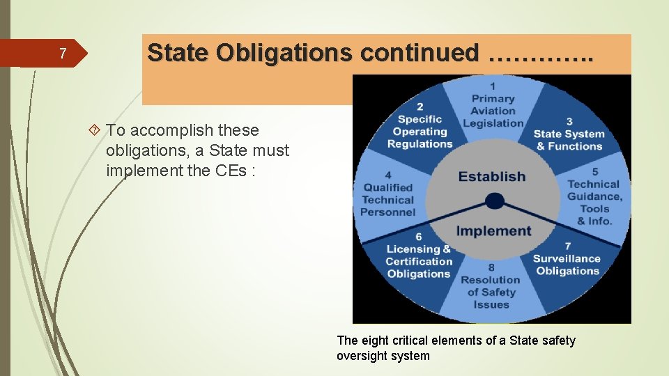 Chapter 4 1 ANS Inspector Roles Responsibilities Qualifications