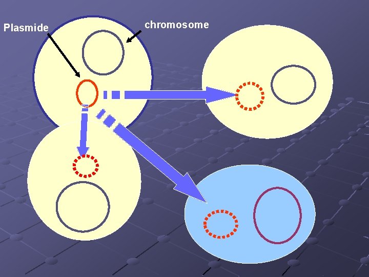 FORMATION MEDICALE CONTINUE 11052004 Rsistances aux antibiotiques ...