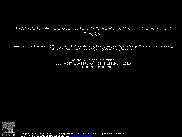 STAT 5 Protein Negatively Regulates T Follicular Helper
