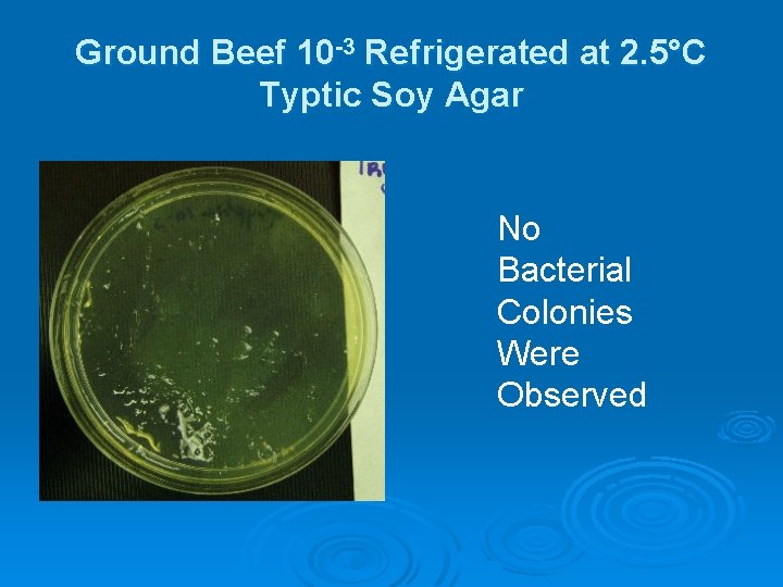 Bacteria Growth in Refrigerated vs Non Refrigerated Ground