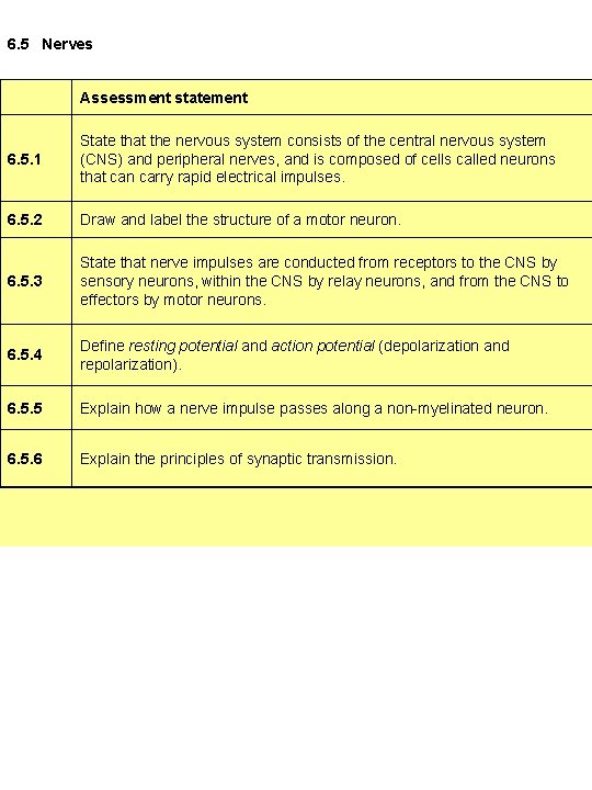 6 5 Nerves Assessment statement 6 5 1