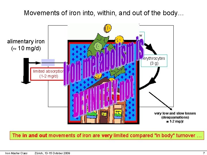 Iron metabolism and medical needs a view from