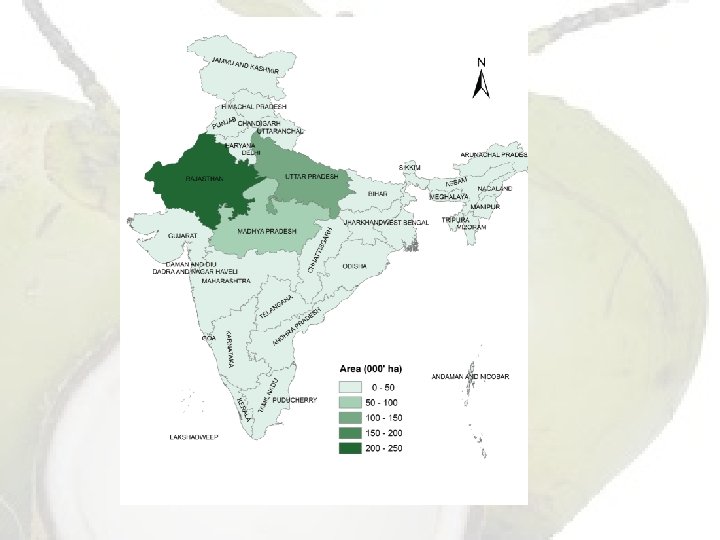 Scope and importance of spices plantation medicinal and