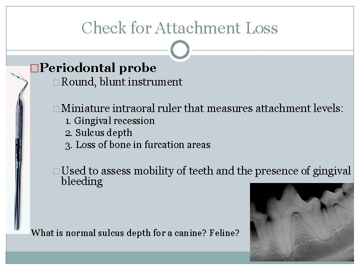 Periodontal Debridement Routine Prevention or Necessary Treatment Dental