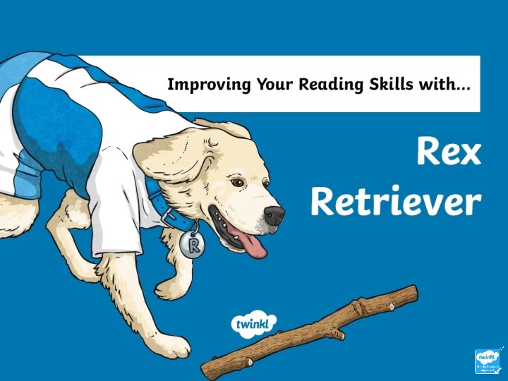 What Does Rex Retriever Do Rex Retriever helps